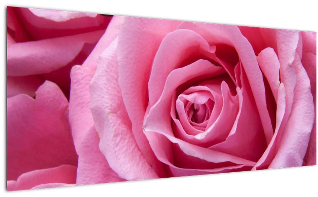 Obraz růže (100x40 cm), 40 dalších rozměrů