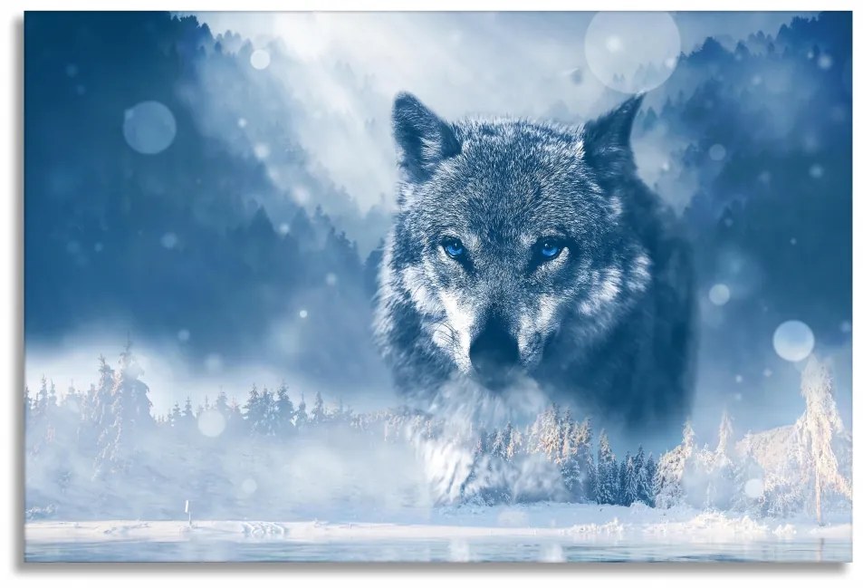 Obraz vlk nad krajinou Velikost (šířka x výška): 120x80 cm