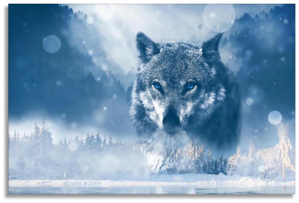 Obraz vlk nad krajinou Velikost (šířka x výška): 90x60 cm