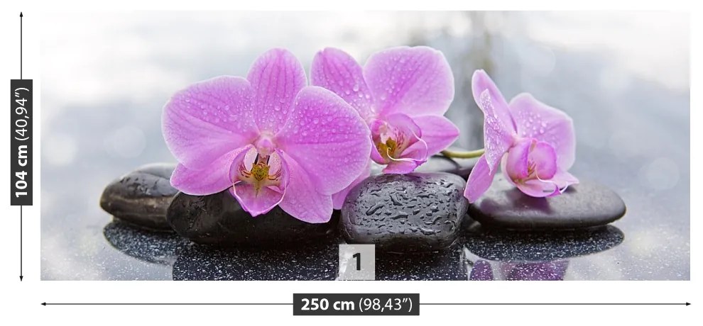 Fototapeta Orchidejové kameny 104x70