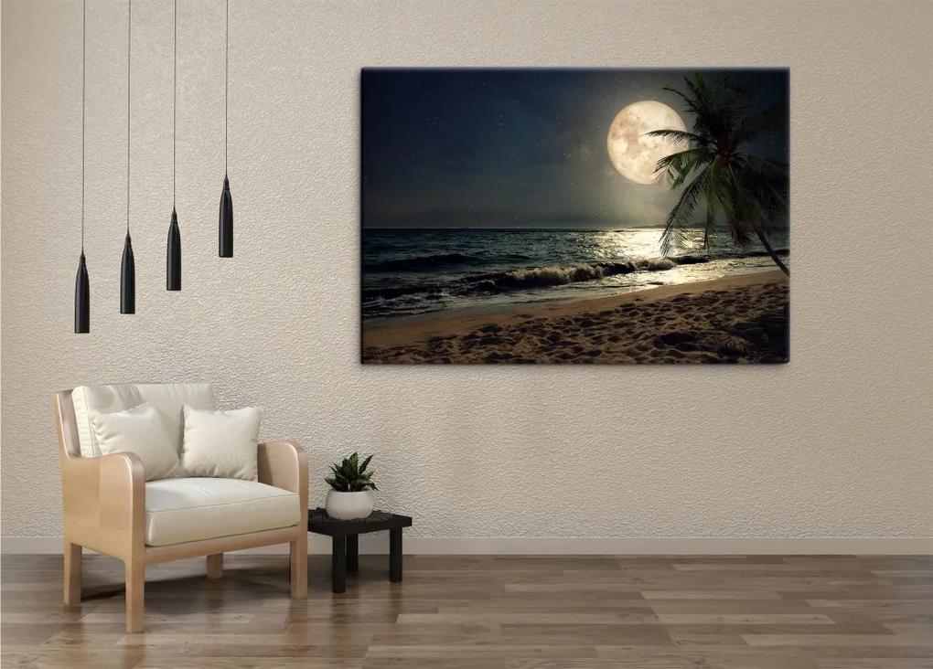 Malvis ® Obraz Pláž s palmou při měsíci Velikost: pětidílné schody - 150x75 cm