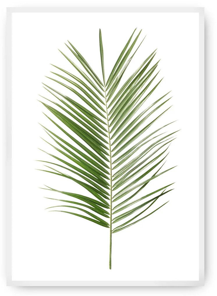 Plakát Palm Leaf Green