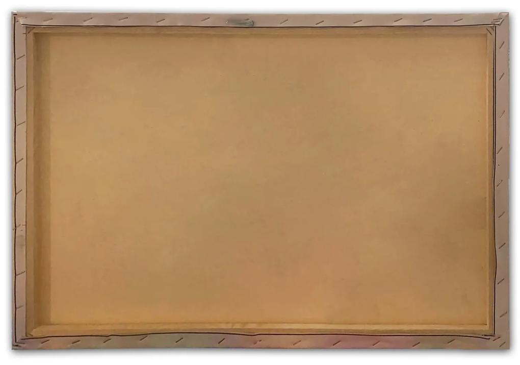 ASIR Nástěnný obraz na plátně ŽENA A ZLATO 50 cm
