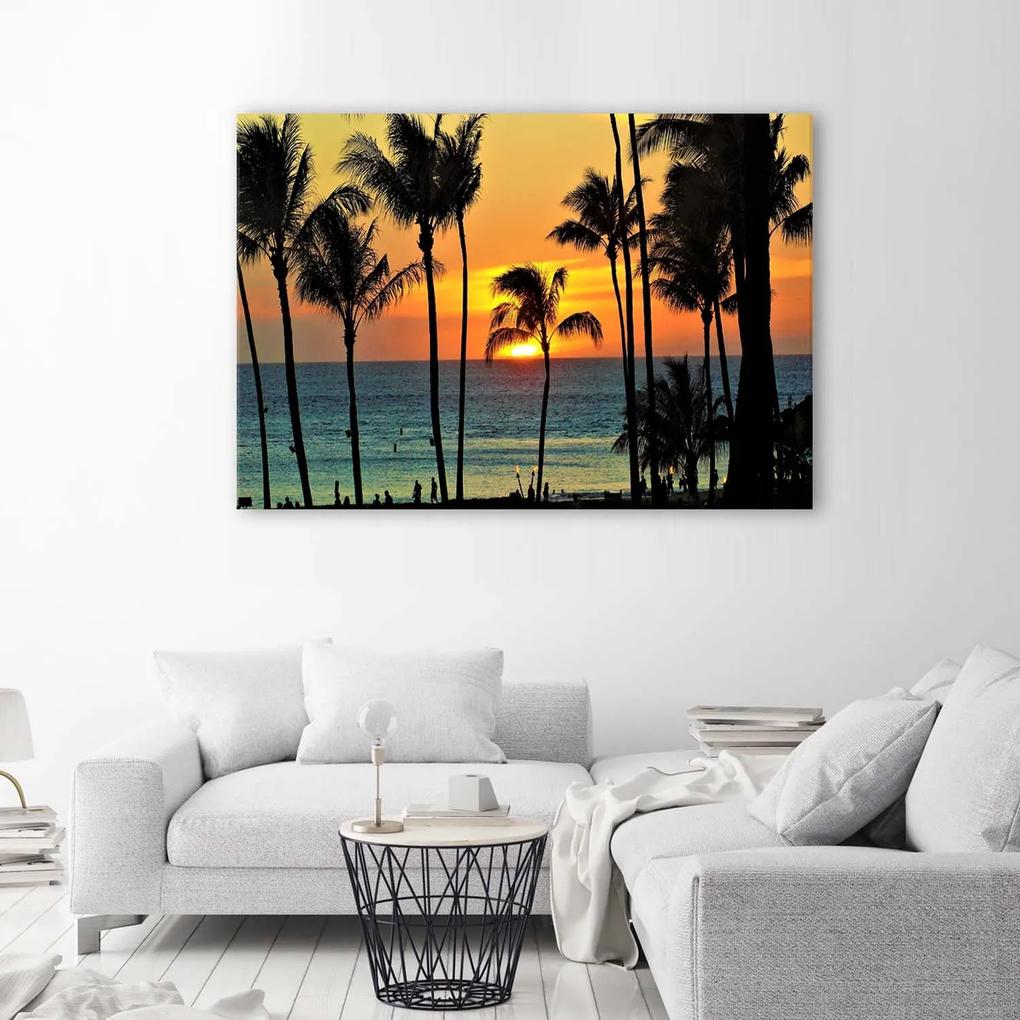 Gario Obraz na plátně Palmy při západu slunce Rozměry: 60 x 40 cm