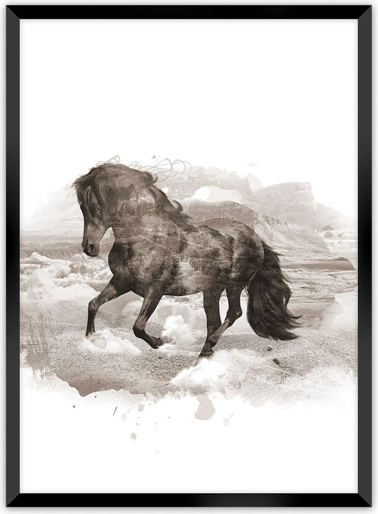 Plakát Horse