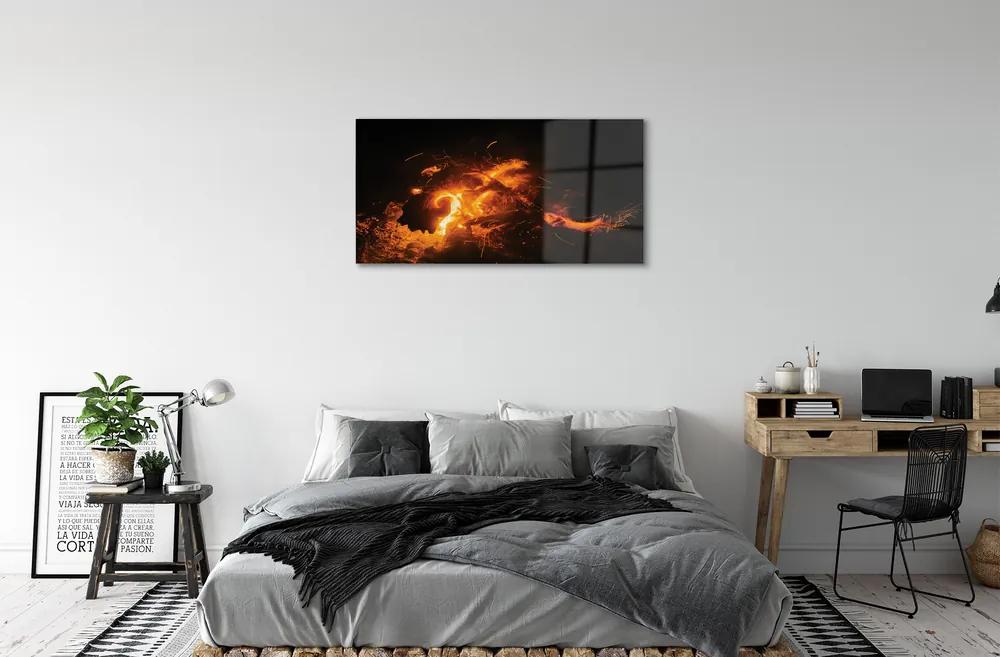 Obraz na skle ohnivý drak 100x50 cm