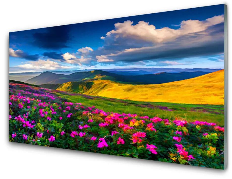 akrylový obraz Louka Květiny Příroda 125x50 cm