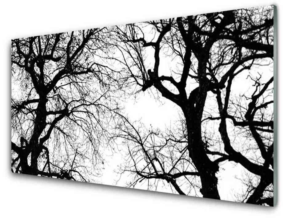 Plexisklo-obraz Stromy Příroda Černobílý 140x70 cm