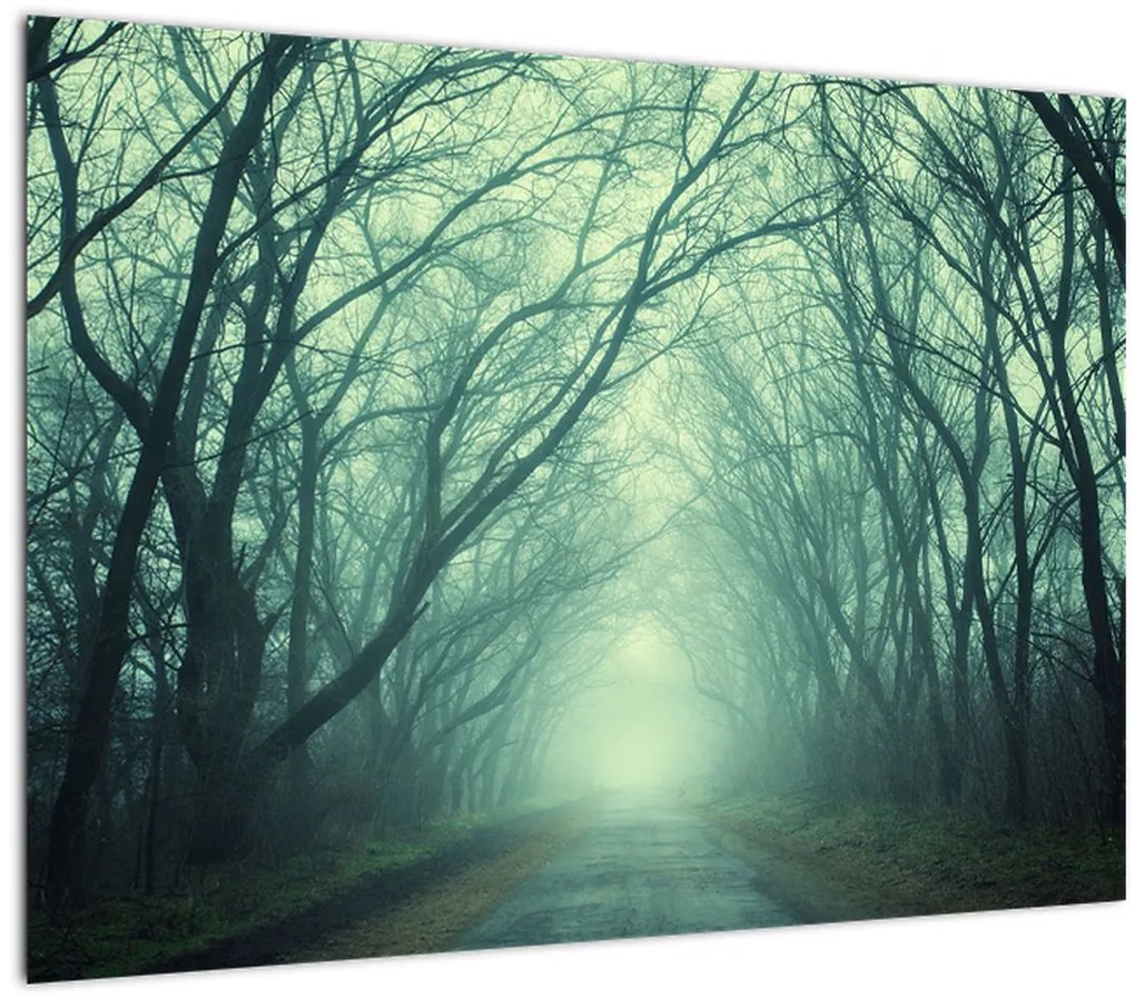 Skleněný obraz - Cesta s alejí stromů (70x50 cm)