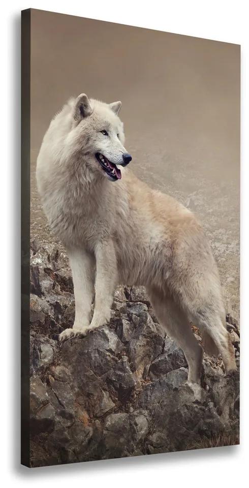 Wallmuralia Foto obraz canvas Vlk na skále 50x100 cm