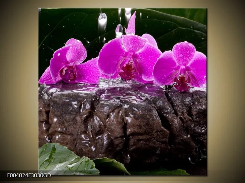 Obraz tří fialových orchidejí na kameni (), 40 dalších rozměrů