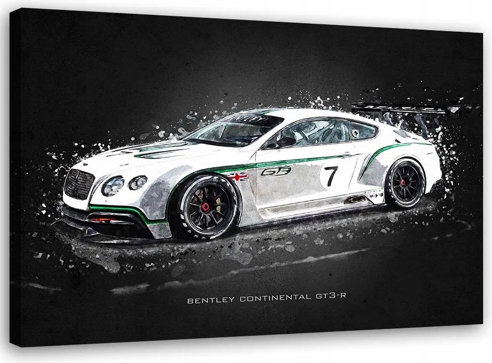 Obraz Canvas Auto Bentley continental gt3r 90x60
