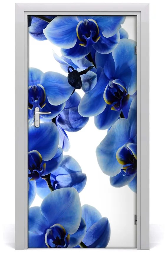 Fototapeta na dveře Květ orchideje 85x205 cm