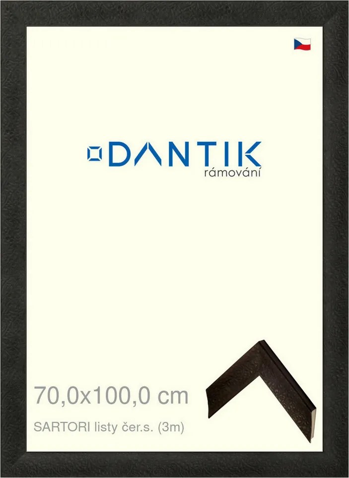 DANTIK rámeček 70x100 | SARTORI listy čer.s. (Plexi Čiré)