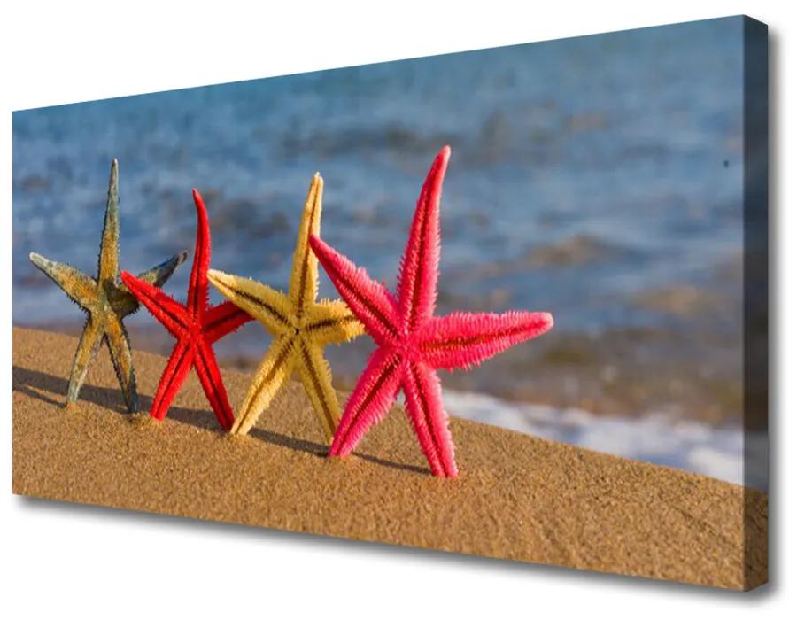 Obraz na plátně Pláž Hvězdice Umění 140x70 cm