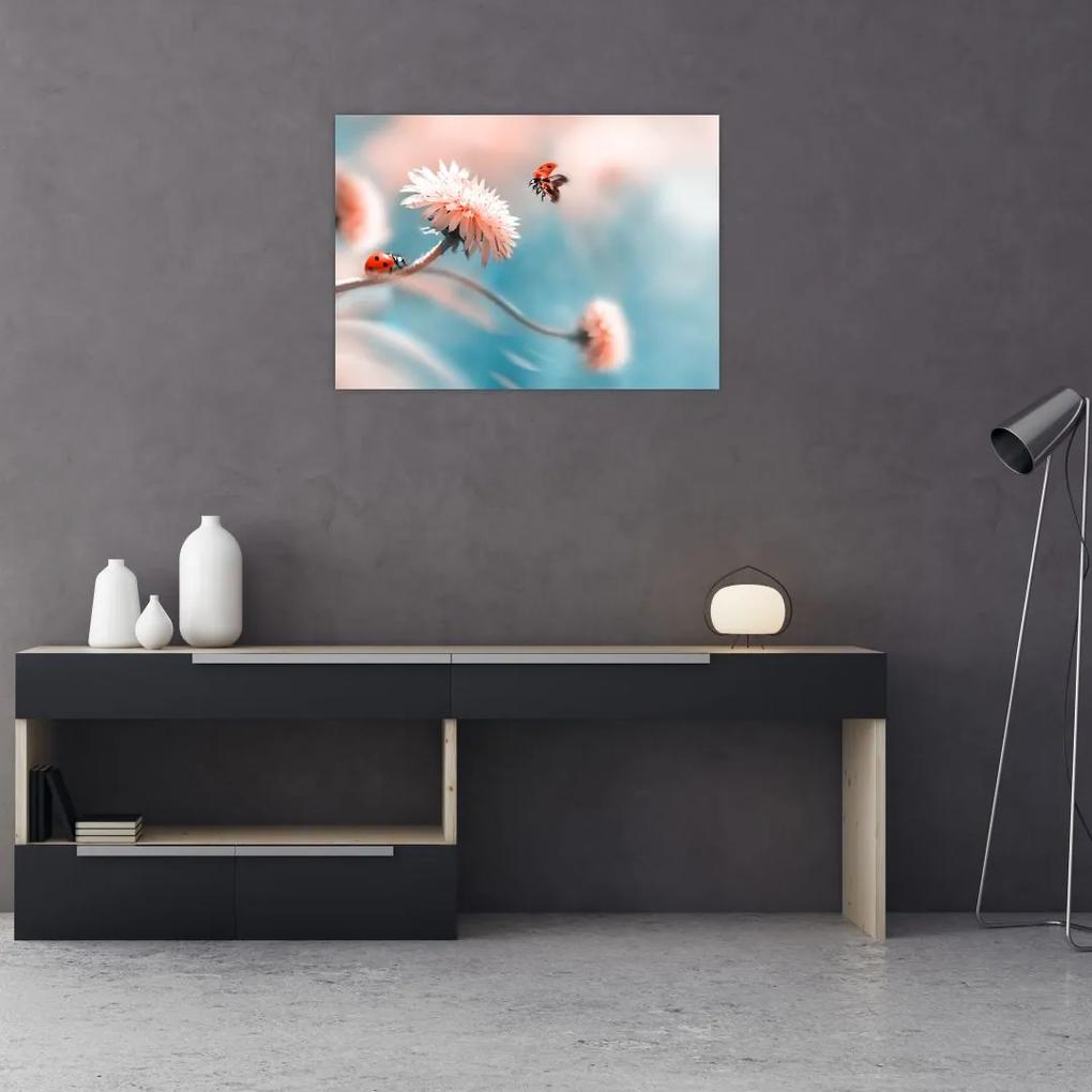 Skleněný obraz - Berušky na květu (70x50 cm)