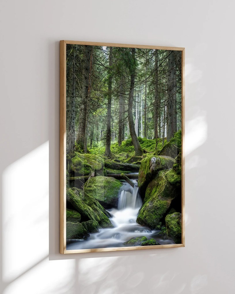 Oboustranný plakát Lesní Vodopád / Lesní Lávka | 30 x 42 cm | DP351321