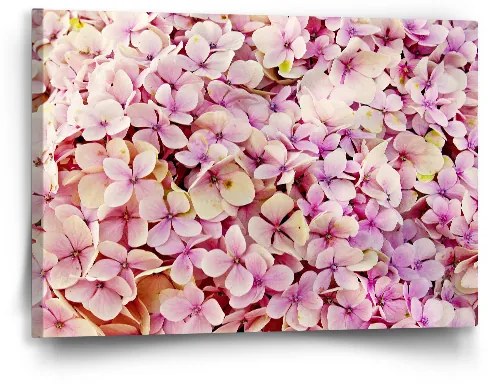 Obraz SABLIO - Růžové květy 60x40 cm