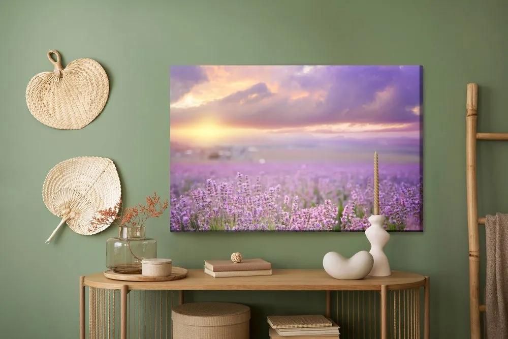 Obraz Krásná Levandulová 3D Krajina Nedostatek Nedostatek Plátno Canvas 100x70
