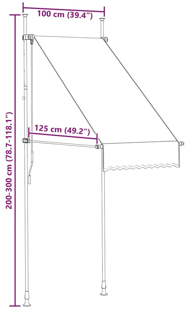 vidaXL Marketos Ručně zatahovací markýza 100 cm antracitová
