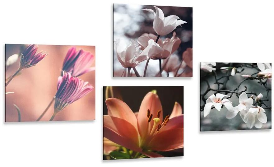Set obrazů něžnost květin Varianta: 4x 40x40