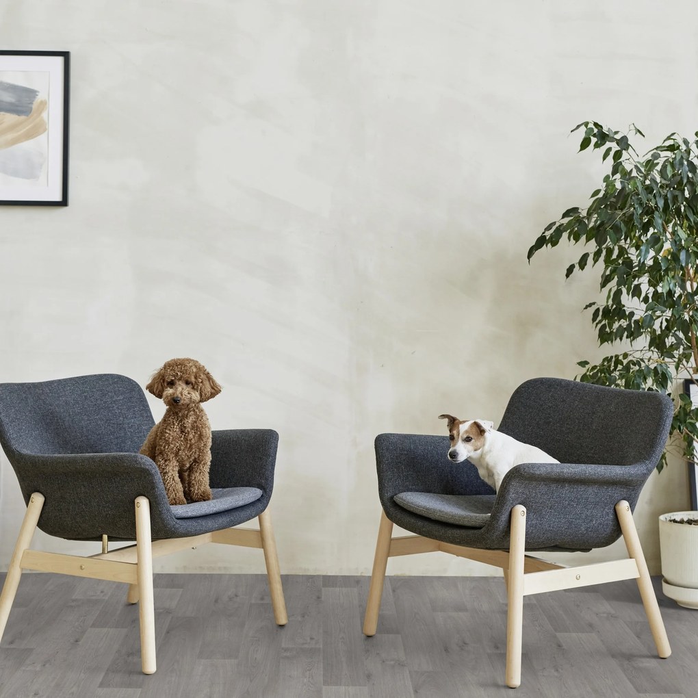 Gerflor, PVC podlaha - lino Flexar Nerok 1751 Timber Grey, na míru, šíře 2m,4m, šedá, bez podkladu, chodba / předsíň