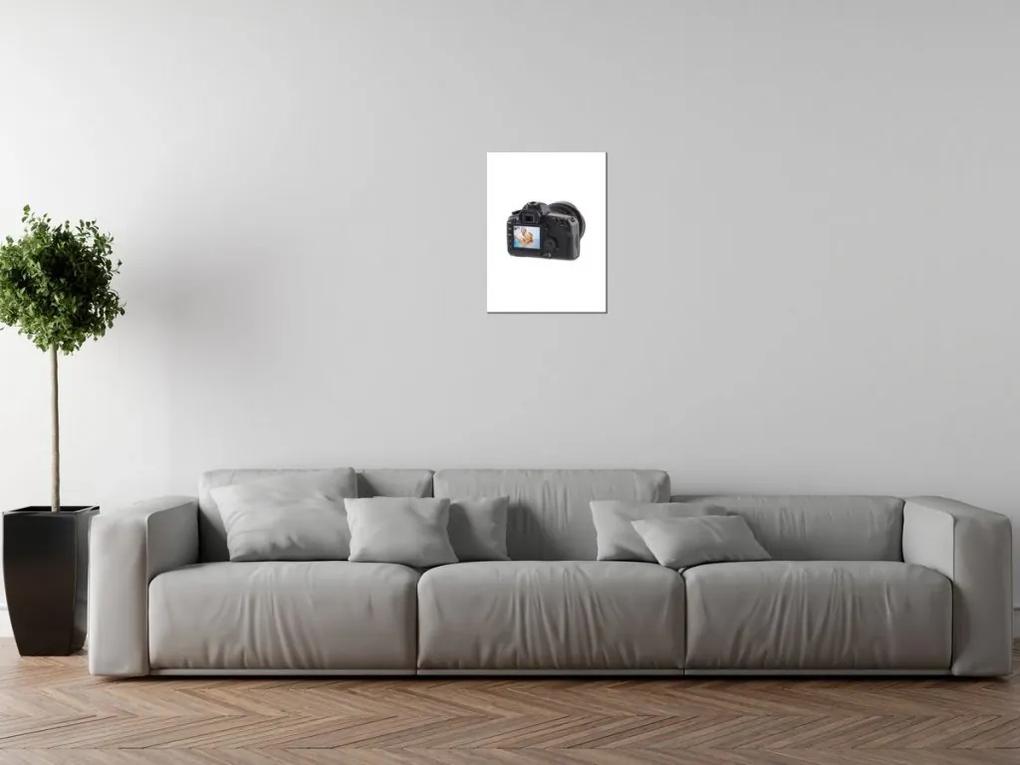 Gario 1 dílný fotoobraz na plátně Rozměry: 40 x 60 cm