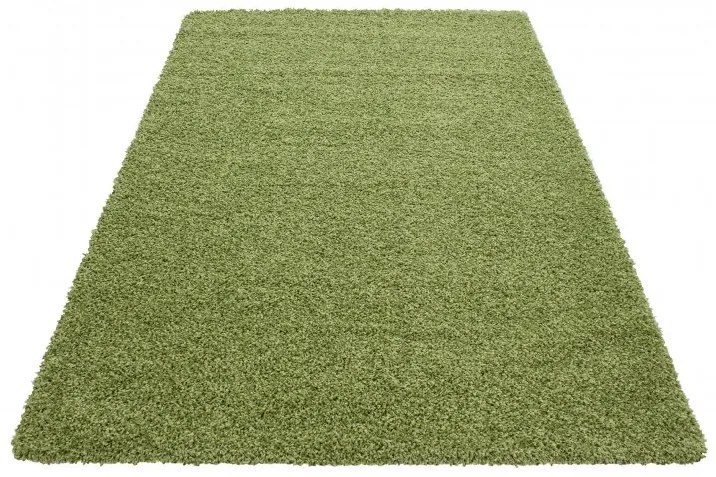 Ayyildiz koberce Kusový koberec Dream Shaggy 4000 green Rozměry koberců: 120x170
