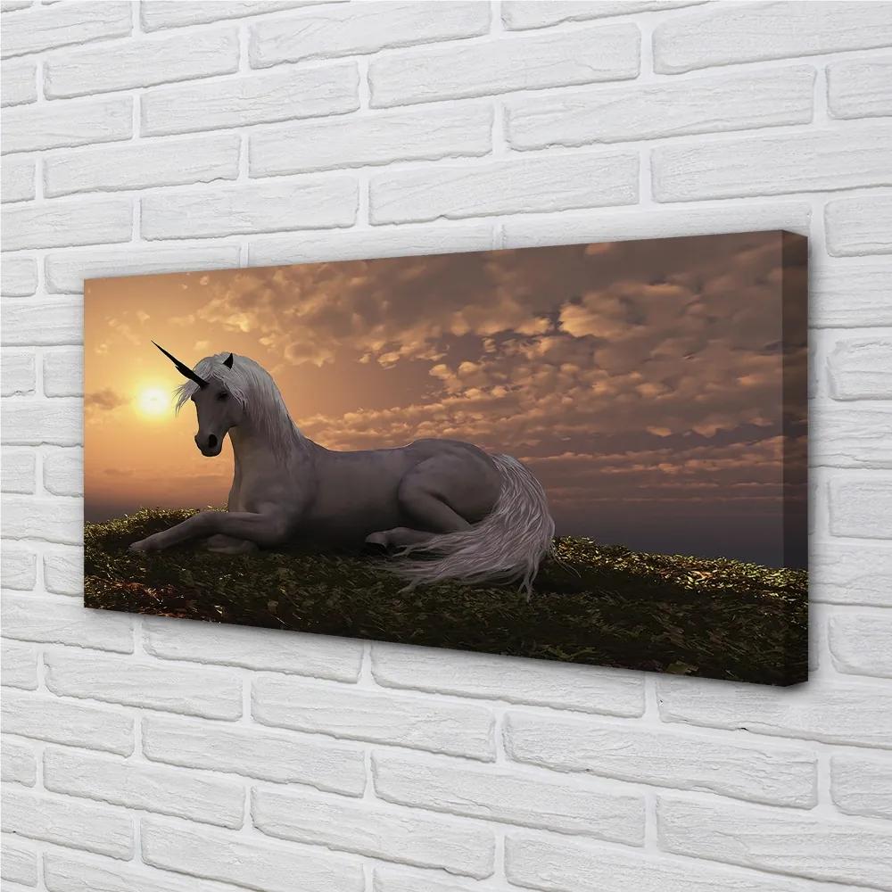 Obrazy na plátně Unicorn horské slunce 125x50 cm