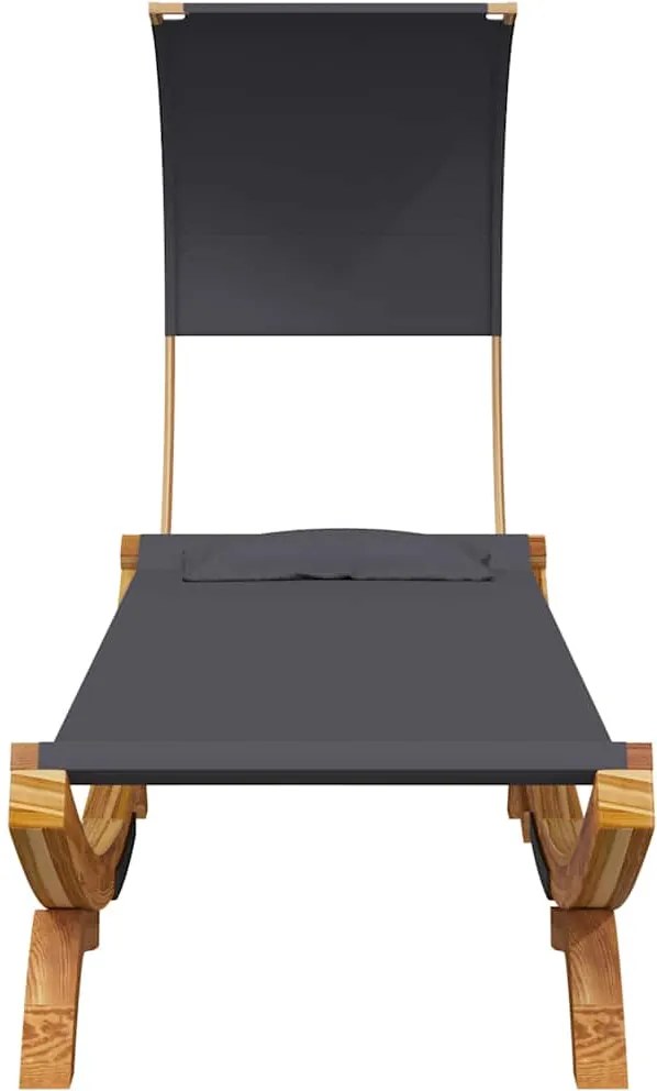 Zahradní lehátko a stříška 100x200x126cm ohýbané dřevo antracit 313946