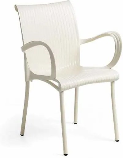 Dama židle krémová - krémová