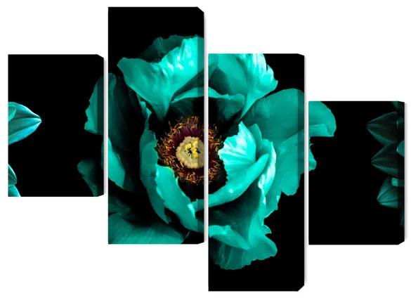 Vícedílný obraz Tyrkysové Květy Na Černém Pozadí Nedostatek Nedostatek Přírodní plátno 160x100