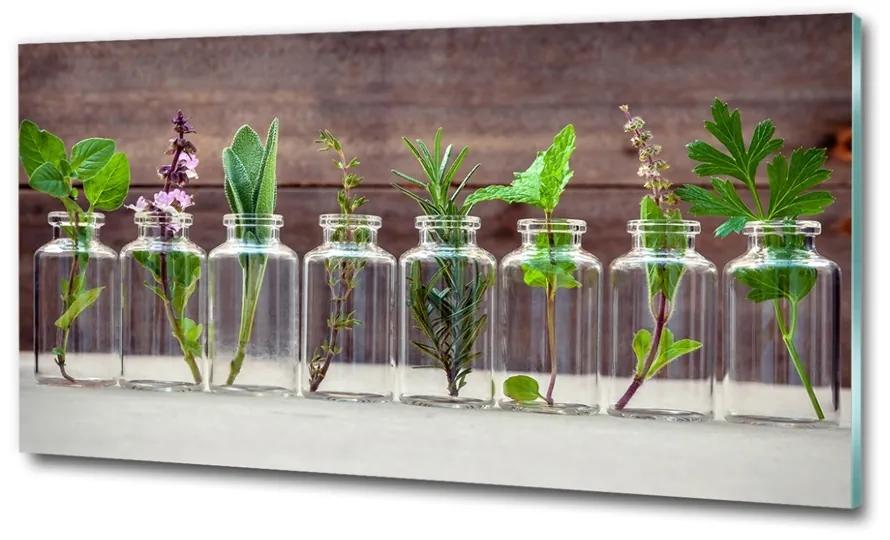 Wallmuralia Foto obraz skleněný horizontální Rostliny ve sklenicích 100x50