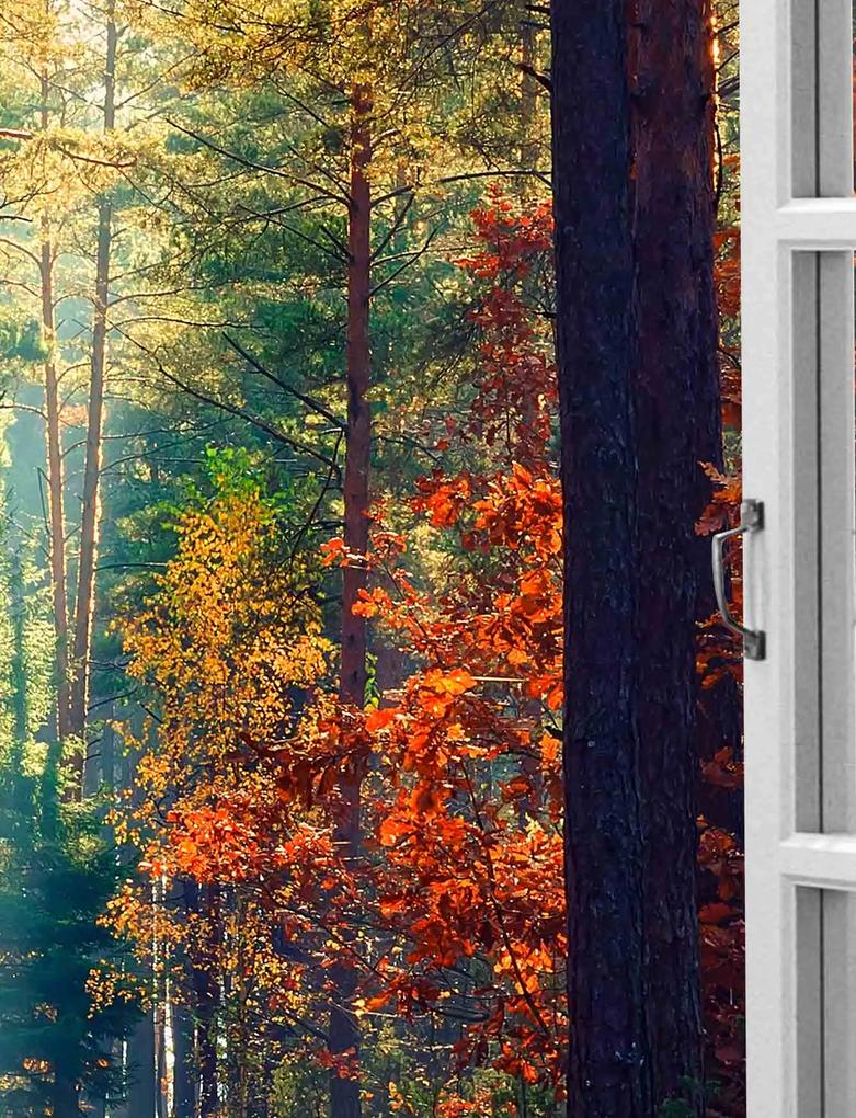 3D obraz okno les plný barev Velikost (šířka x výška): 120x80 cm
