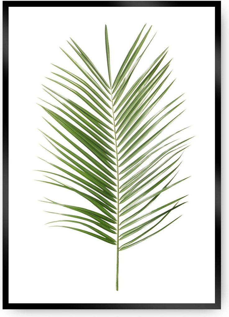 Plakát Palm Leaf Green
