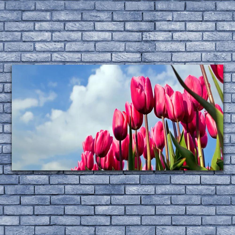 akrylový obraz Tulipán 120x60 cm