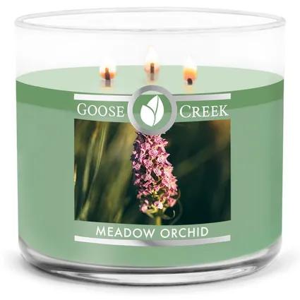 Goose Creek Candle svíčka Meadow Orchid, 411 g