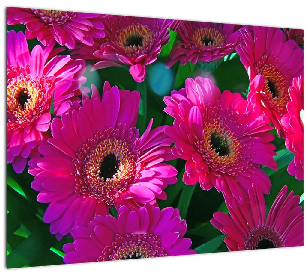 Skleněný obraz - květiny (70x50 cm)