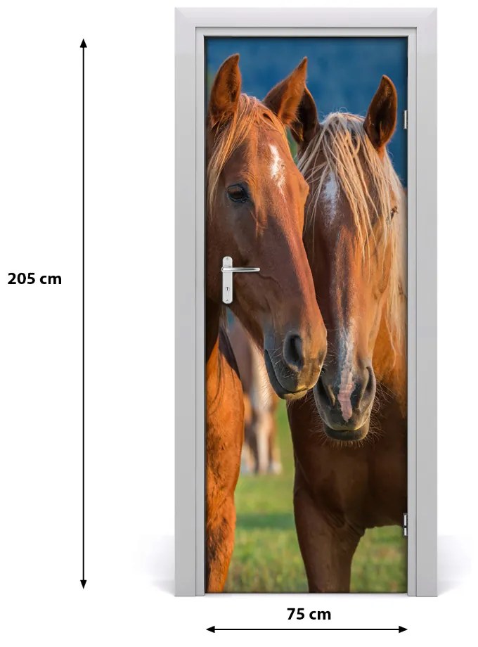 Samolepící fototapeta na dveře Dva koně 75x205 cm
