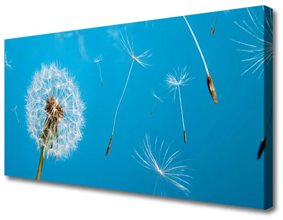 Obraz na plátně Pampelišky Květiny Příroda 100x50 cm