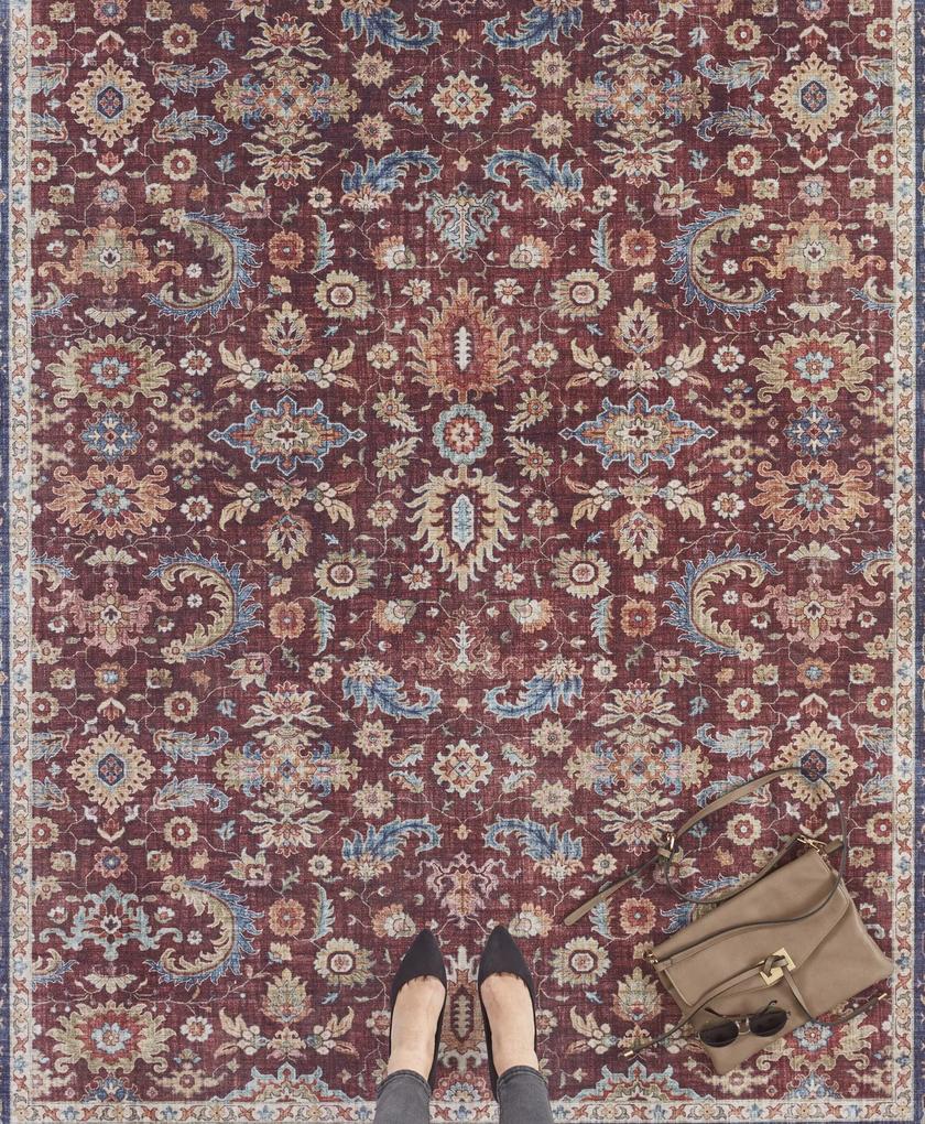 Nouristan - Hanse Home koberce Kusový koberec Asmar 104004 Bordeaux/Red - 160x230 cm