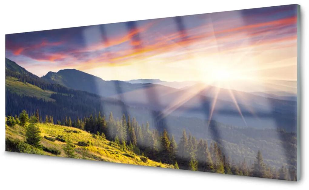 Skleněný obraz Hora Les Slunce Krajina