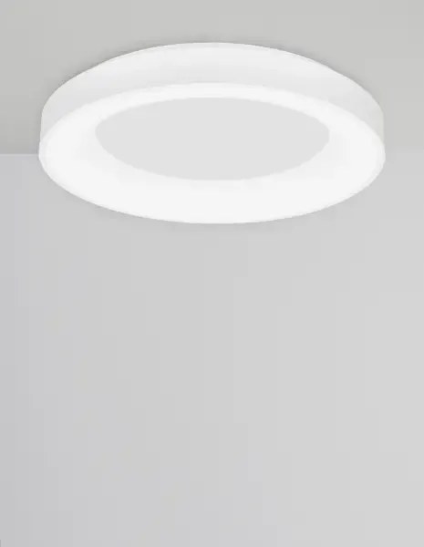 Stropní svítidlo LED se stmíváním Rando Smart 60 bílé