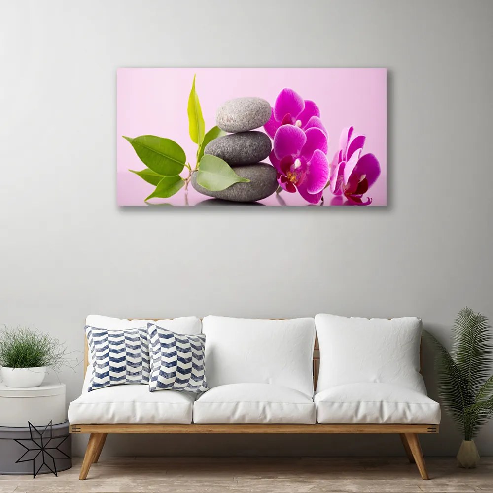 Obraz na plátně Orchidej Vstavač Kameny 100x50 cm