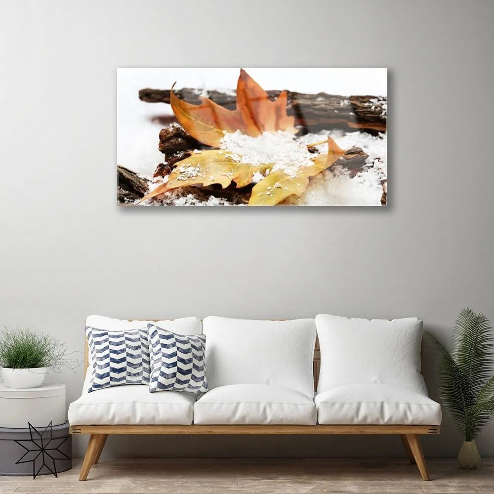 Plexisklo-obraz List Les Podzim Příroda 100x50 cm