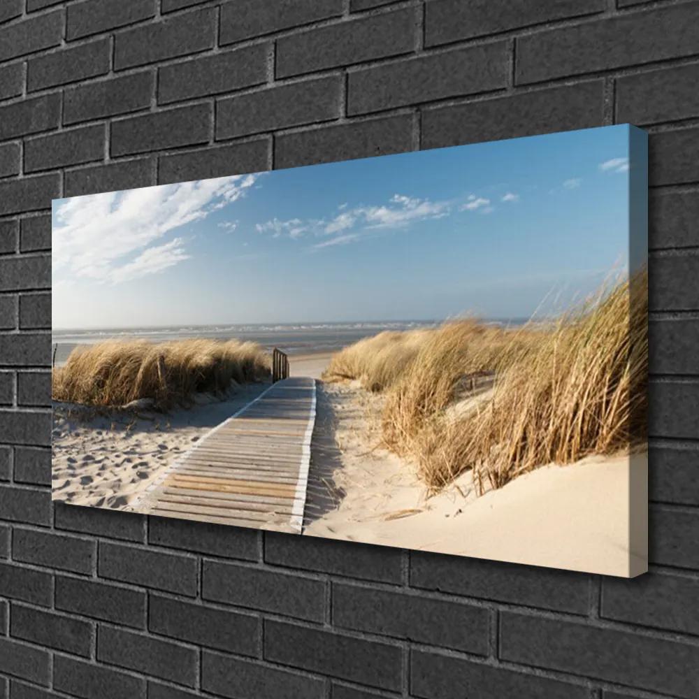 Obraz na plátně Pláž Stezka Krajina 120x60 cm