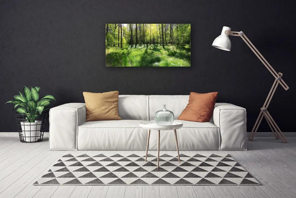 Obraz na plátně Les Tráva Rostlina Příroda 125x50 cm