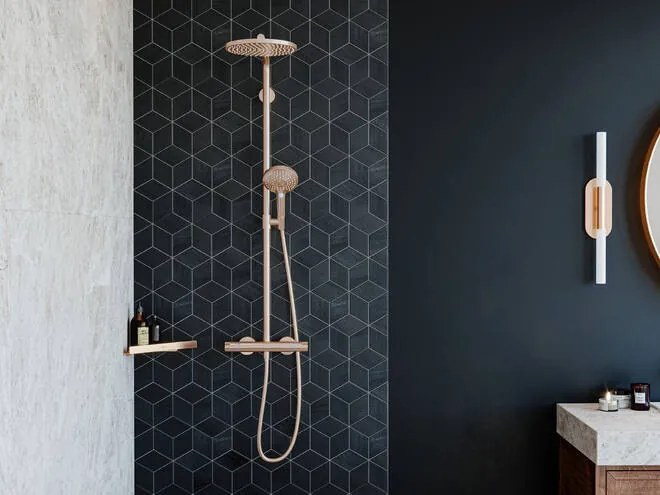 Hansgrohe AddStoris, košík do rohu, kartáčovaný bronz, HAN-41741140