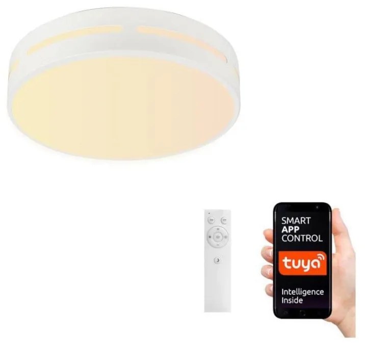 Immax NEO 07153-W40 - LED Stmívatelné svítidlo PERFECTO 24W/230V Wi-Fi Tuya + DO