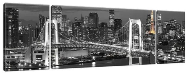 Tištěný obraz Most Tokyo Bay 170x50cm 1529A_3G